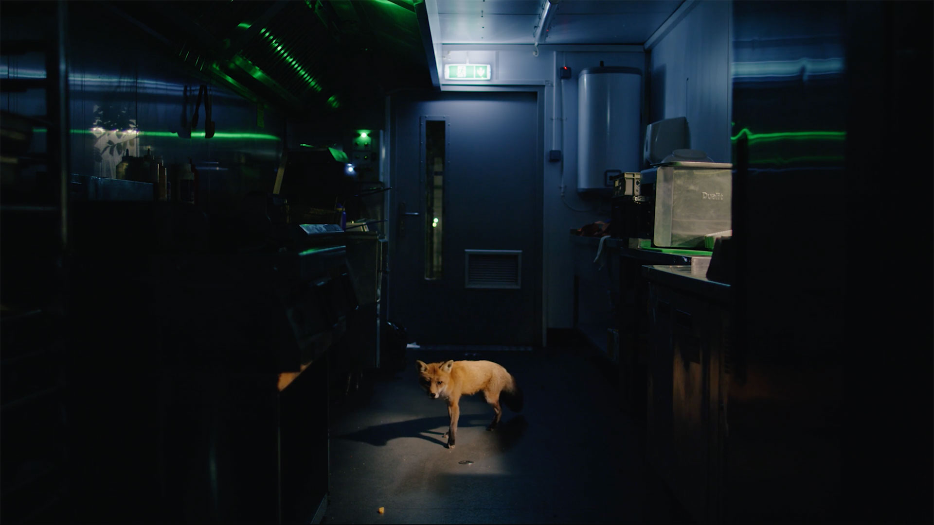 Pep Bosch Cinematographer